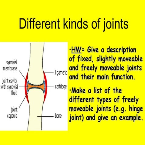 L10a Different Kinds Of Joints | PPT | Death, Injury, or Military ...