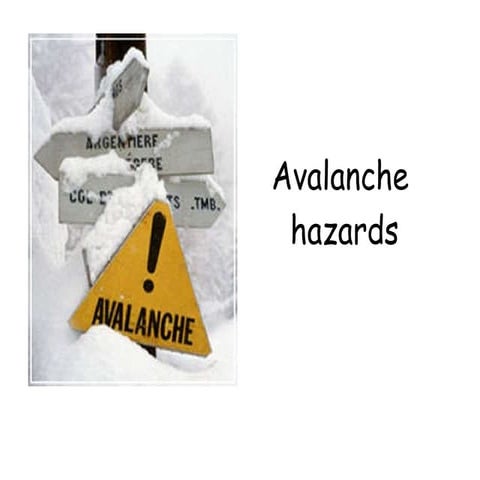 L10 Avalanche | PPT