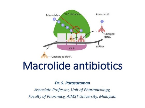 Macrolides | PPT