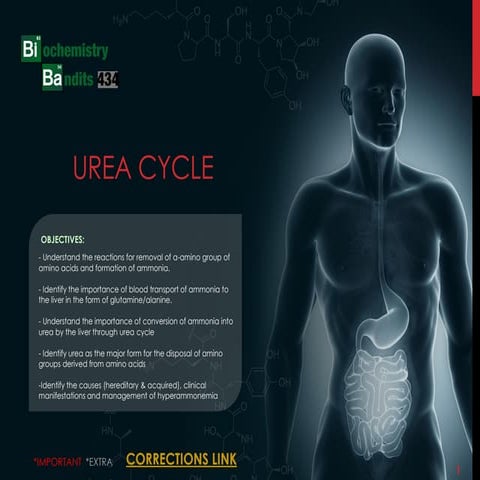 L11-Urea cycle.pdf