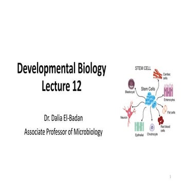 L12-Stem Cell and pluripotent stem cells | PPT