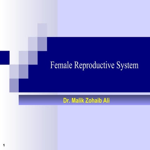 Female Reproductive System | PPT