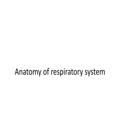 L12__Respiratory_system_anatomy[1].pptx