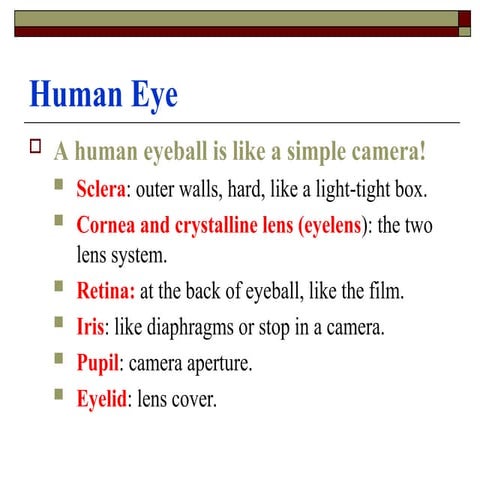 Human eye and colourful world - chapter 10 CBSE.ppt