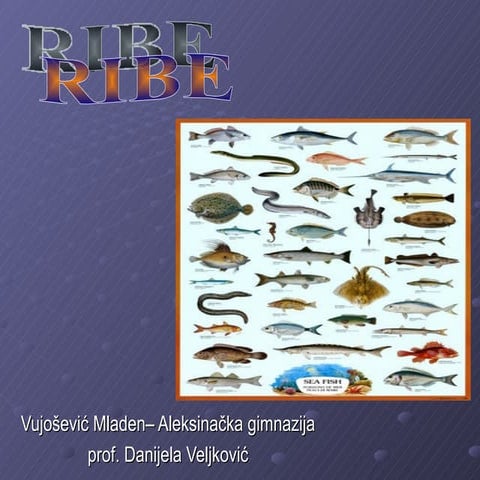 L157 - Biologija - Ribe - Mladen Vujošević - Danijela Veljković | PPT