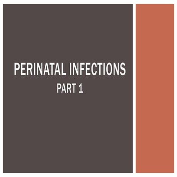 L29 Perinatal Infections part 1 | PPTX