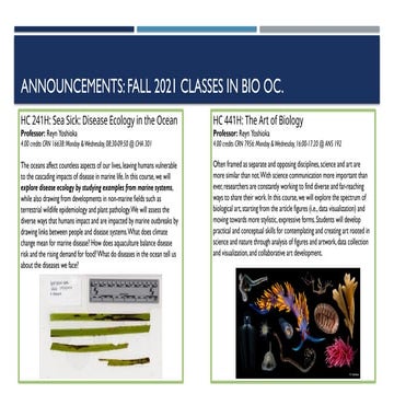 Biological Oceanography: Spatial and temporal variability | PPTX