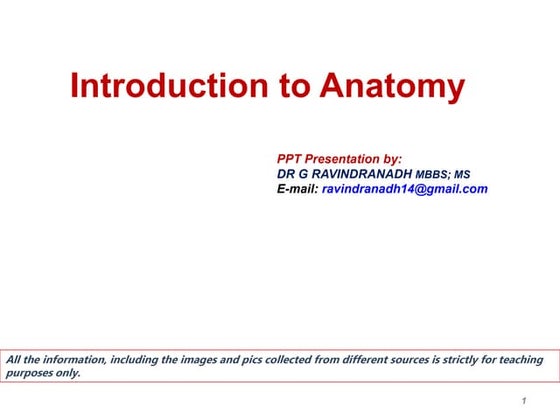 The father of anatomy and a great anatomist Herophilus | PDF