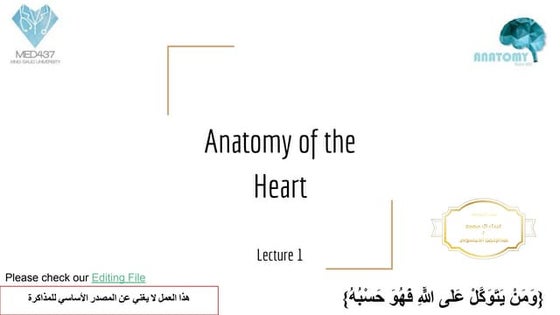 Mammal Heart Dissection | PPTX | Heart and Cardiovascular Diseases ...