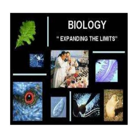 Characteristics of Living Things | PPT