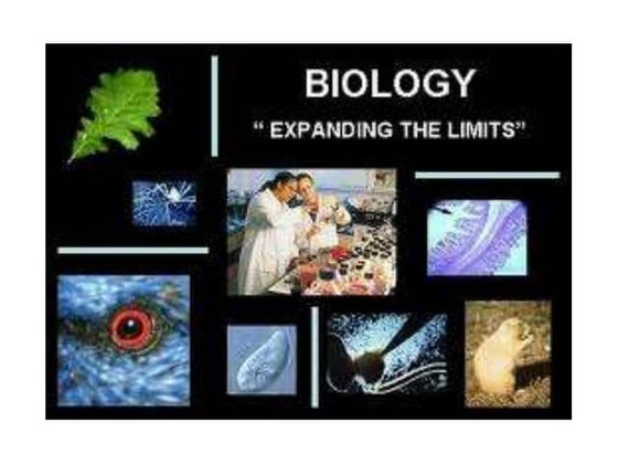 Characteristics of Living Things | PPT | Biological Sciences | Science