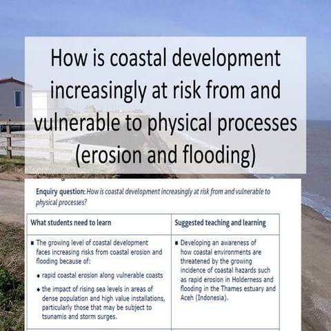 L1 holderness ap | PPTX