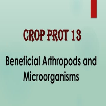 Lesson 1_introduction to arthropods.pptx