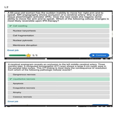 L2.pdfgo hujuuuuuuuuuuuuuuuuupathologyghhh | PDF