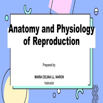 Lesson Two: Anatomy and Physiology Topic.pptx