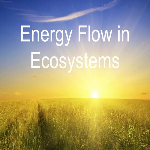 Grade9, U3-L2, Energy flow in ecosystems | PPT