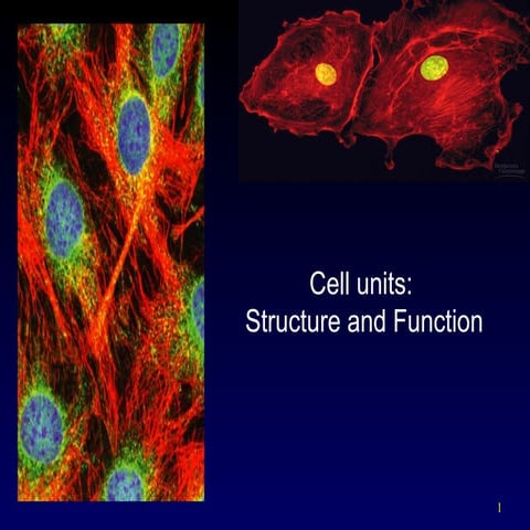 L2 Cell Units structure and function 24-09-2023.ppt