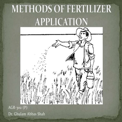 Organic fertilizers