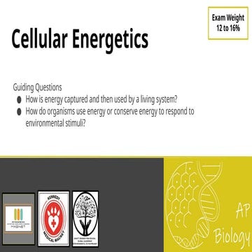 Unit 3 Cellular energetic AP biology unit 3 | PPTX