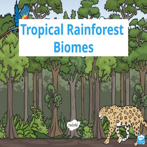 L3- Adaptations in the Rainforest Lesson for Year 5 students | PPTX
