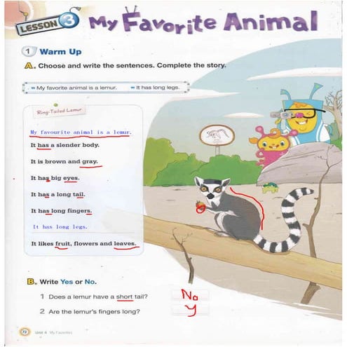 L3 my favourite animal | PDF