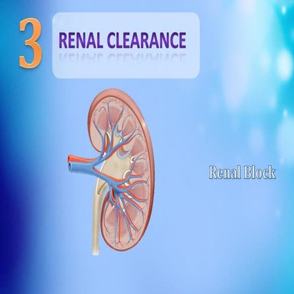 L3_Renal_Clearance physiology for public health.pdf