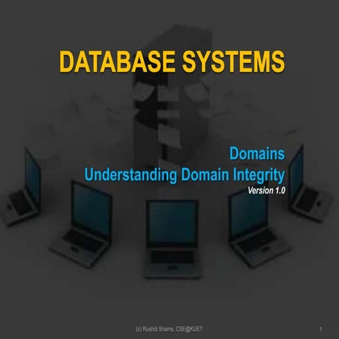 L4 domain integrity | PPTX