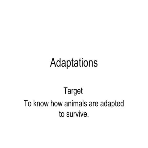 Lesson 4 adaptations | PPT