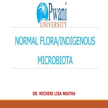 Microbiology Nursing L4_Normal flora.pdf