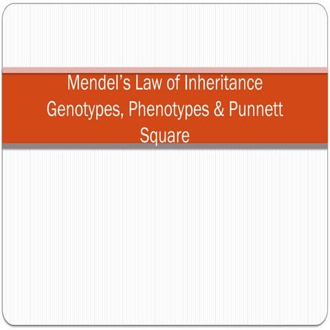 nearly everything is made up of atoms lalo universe | PPTX