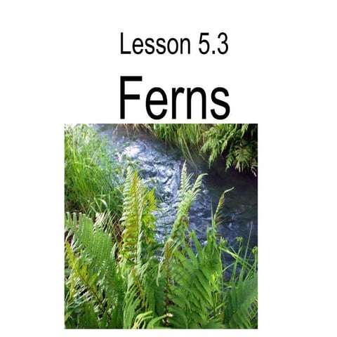 Biology Lesson 5.3 | PPTX