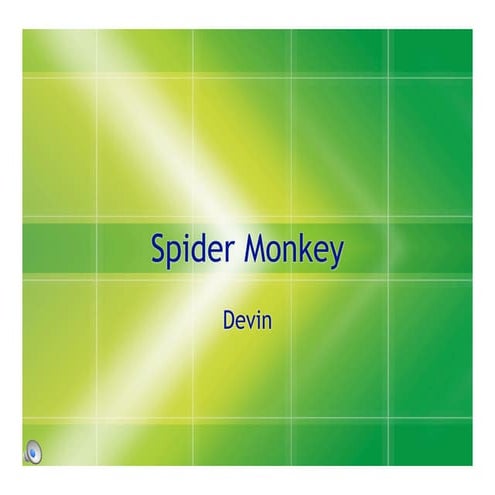 L5 Spider Monkey | PPT