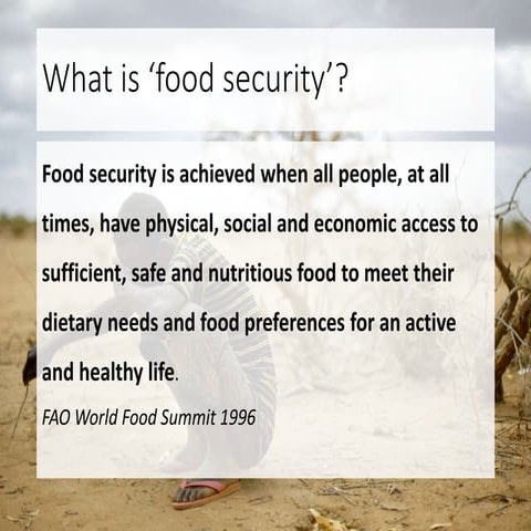 Unit 8 - Four Pillars of Food Security.pdf