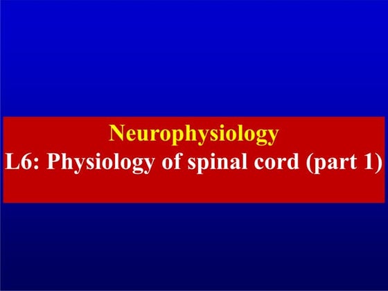 Group 4 Spinal-Cord-ppt.pptx BPED PED 119 | PPT