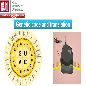 L6, Translation and genetic code_17a7ea13763061b9ec93113a467b074d.pdf