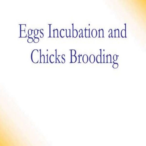 L 7 Eggs Incubation and Chicks Brooding | PPT