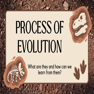 L7_Evolutions.pdfvgcvfyxdgvjbftcgxdfxbmjh | PPT