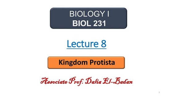 Morphology structure and function of algae.pptx