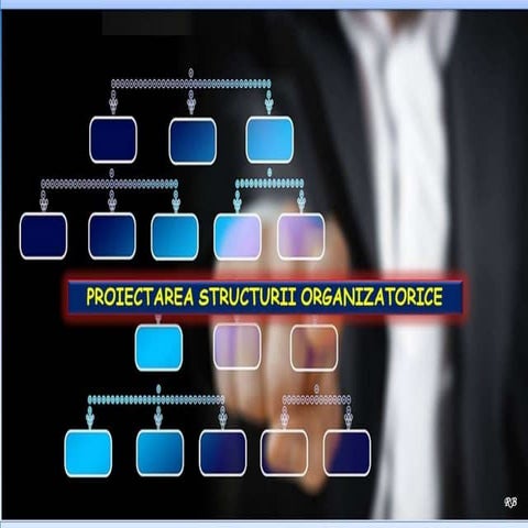 Proiectarea structurii organizatorice | PPT