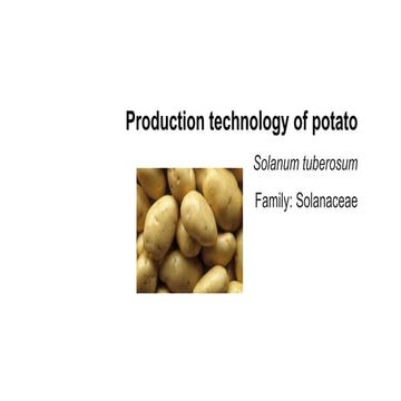 L8 potato HRT 255.pptx