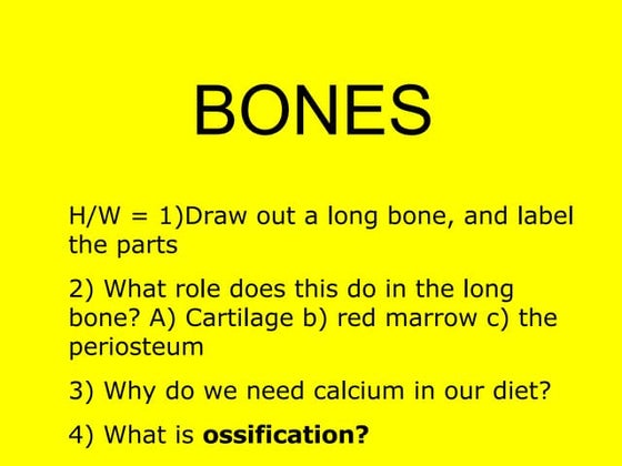 Grade 3rd bones and skeleton | PDF