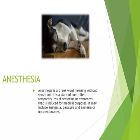 local-anaesthesia-veterinary-surgery-pdf