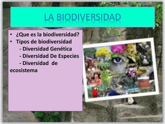 Anahi mejia martinez | PPT