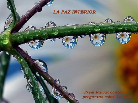 El Valor de la Paz | PPT