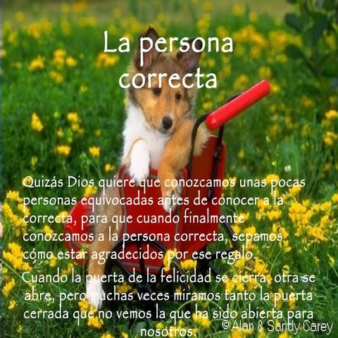 La persona correcta | PPS