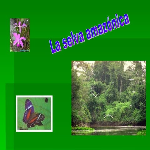 La Selva Amazonica | PPT
