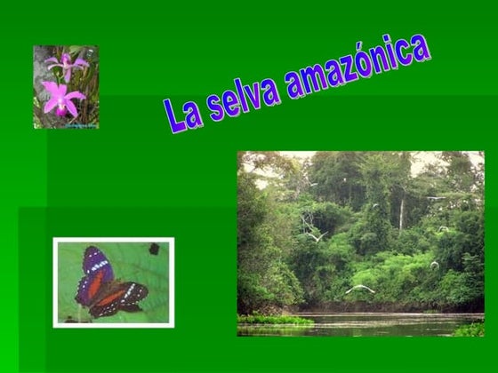 La selva amazónica | PPT