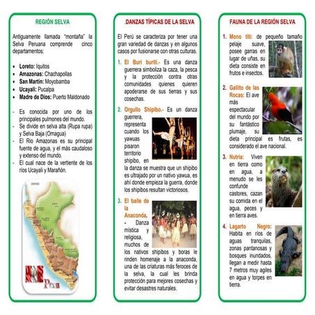 Proyecto La selva amazónica | PPT