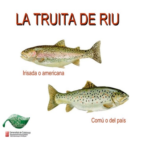La Truita De Riu | PPS