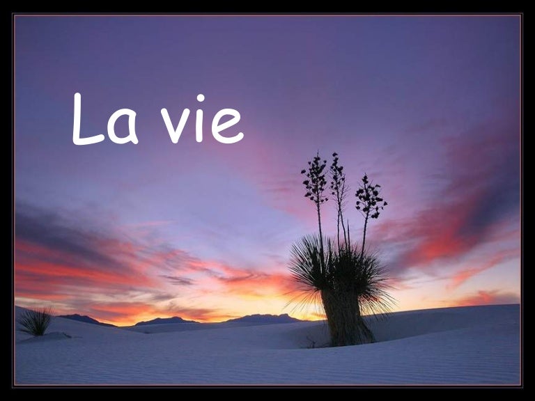 La vie